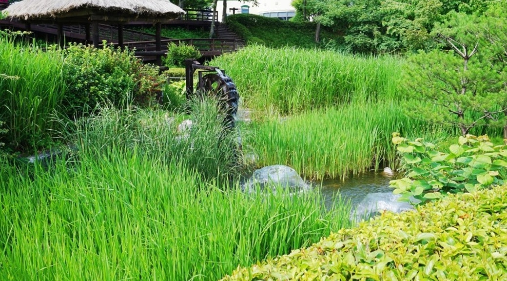 경기도 용인시 처인구 여행 홈