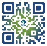 특수단체인 손일엽 - 인물, 경력, 약력 정보 제공